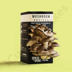 Mushroom Grow Kit Boxes - i Custom Boxes