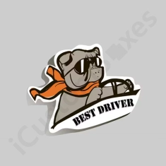 Custom Bumper Stickers for Cars | 100% Free Shipping