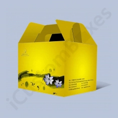 Custom Printed Auto Bottom Packaging Boxes