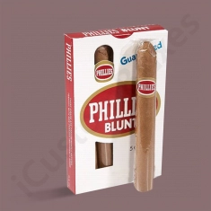 Cannabis Blunt Boxes | Cannabis Blunt Packaging Canada