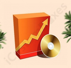 Custom Software Packaging Boxes Wholesale